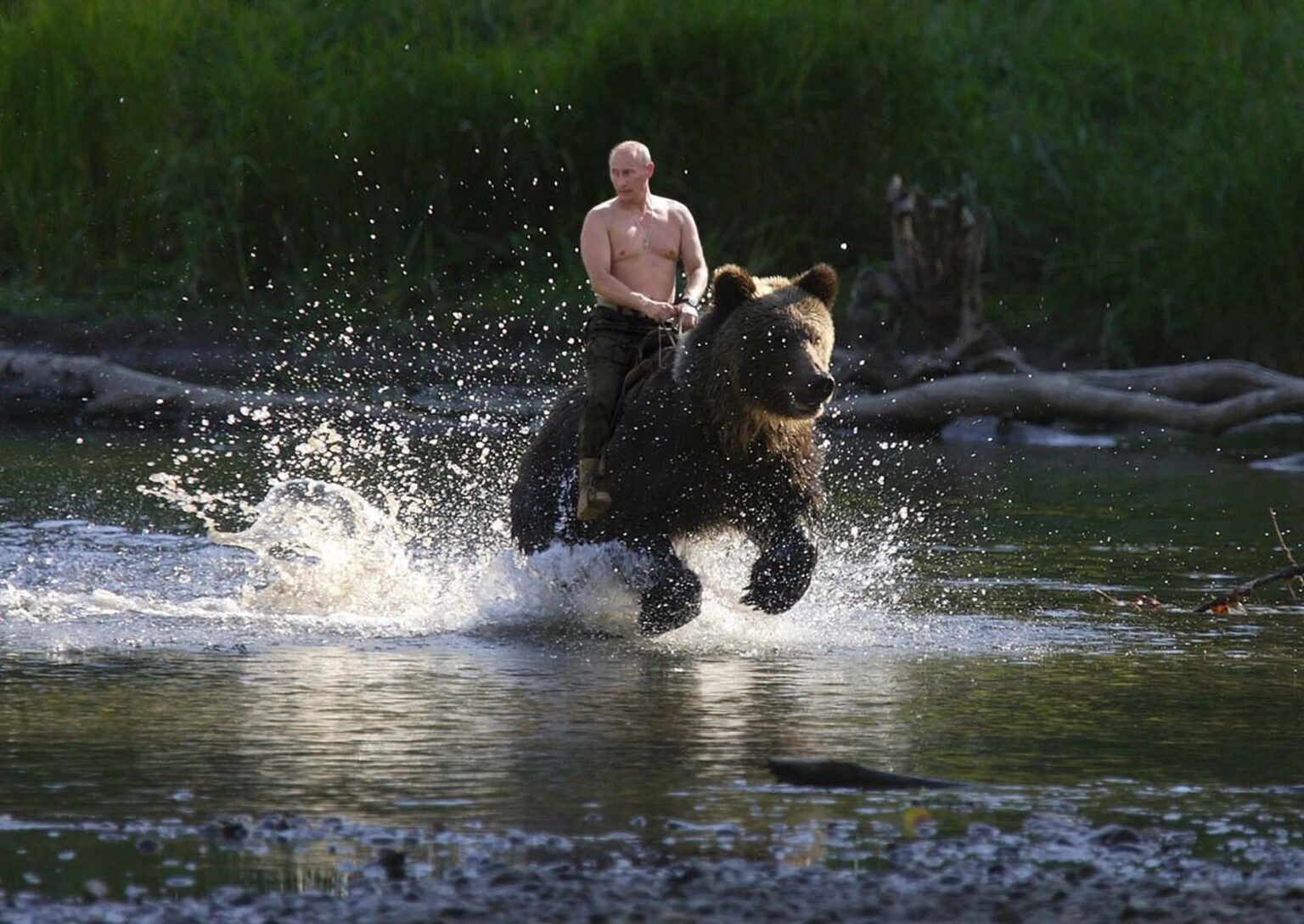 La photo de Vladimir Poutine sur un ours est-elle réelle ? - La Gazette ...
